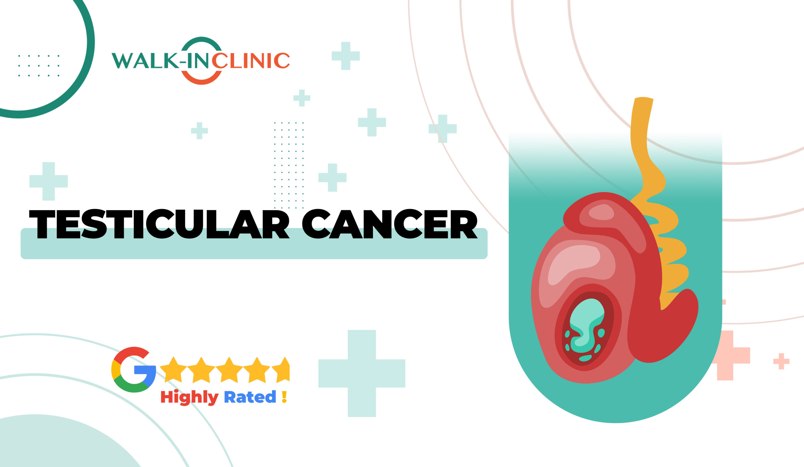 Testicular Cancer Specialists | Screening & Tests London