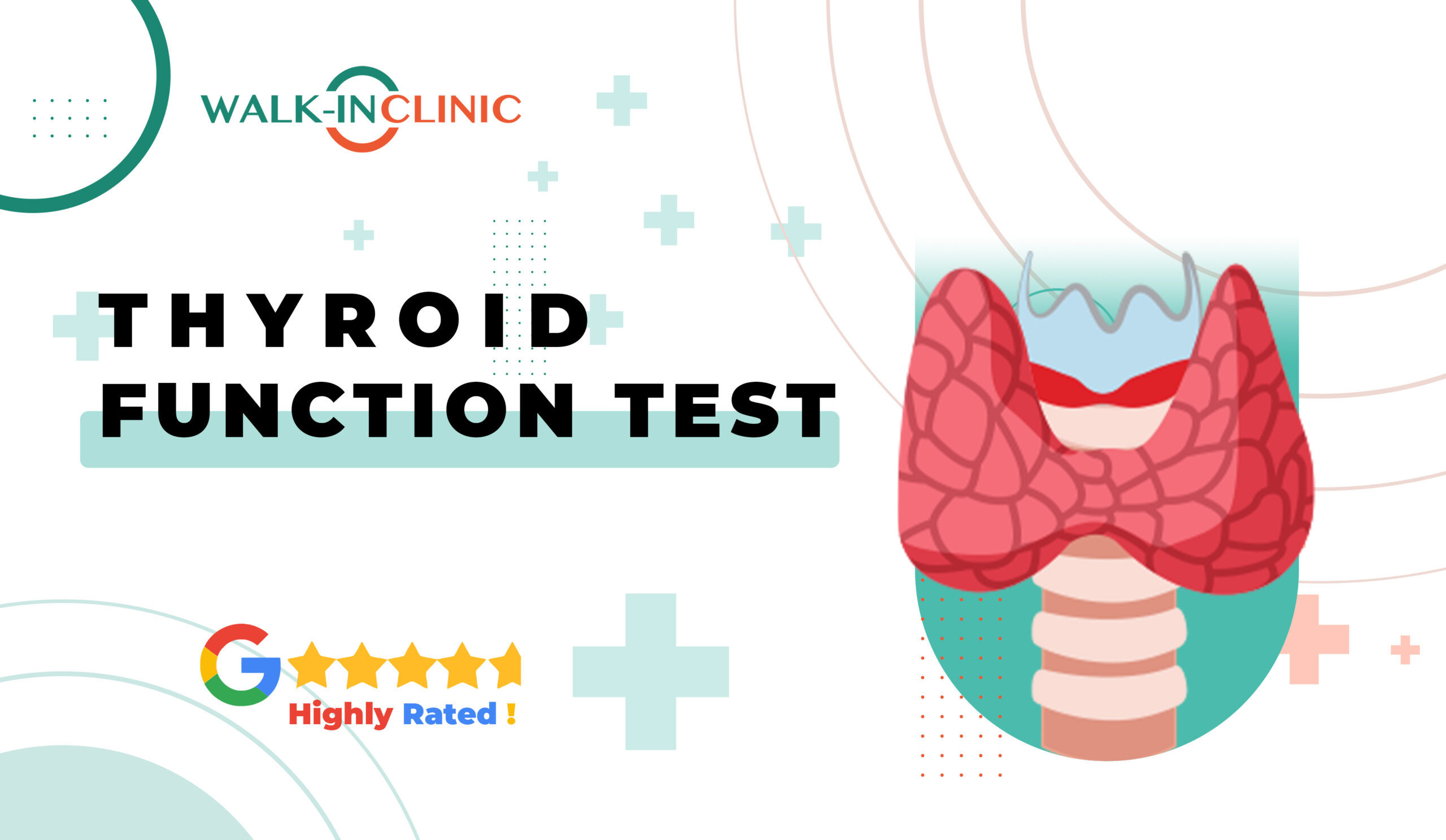 Thyroid Function Test London | Blood Screening